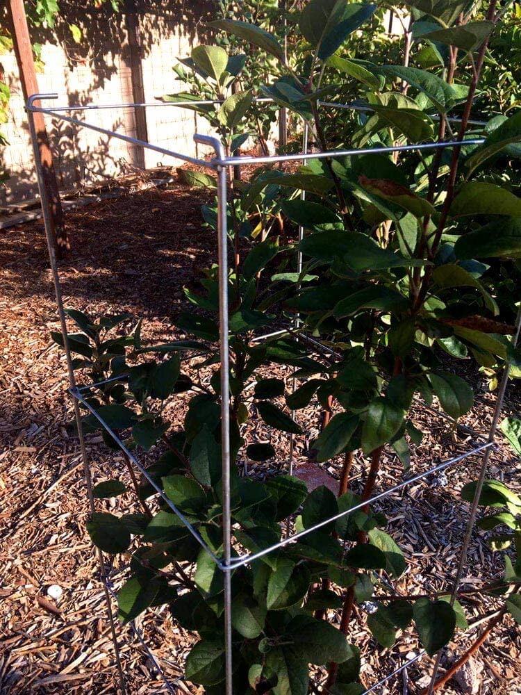 Folding Tomato Tower Plant Support Tower for Climbing Plants - YongShun ...