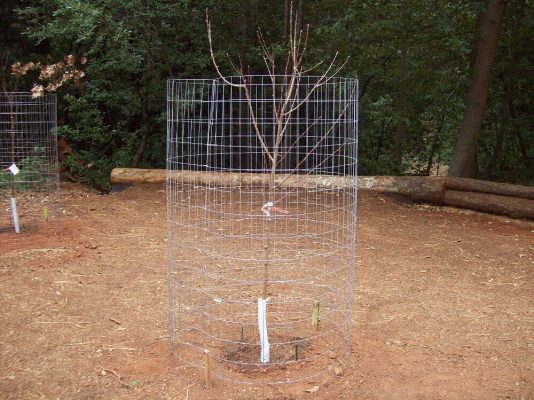 Tree protection fence welded metal tree guard mesh - YongShun Hardware