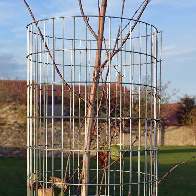 Tree protection fence welded metal tree guard mesh - YongShun Hardware