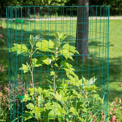 Tree protection fence welded metal tree guard mesh - YongShun Hardware
