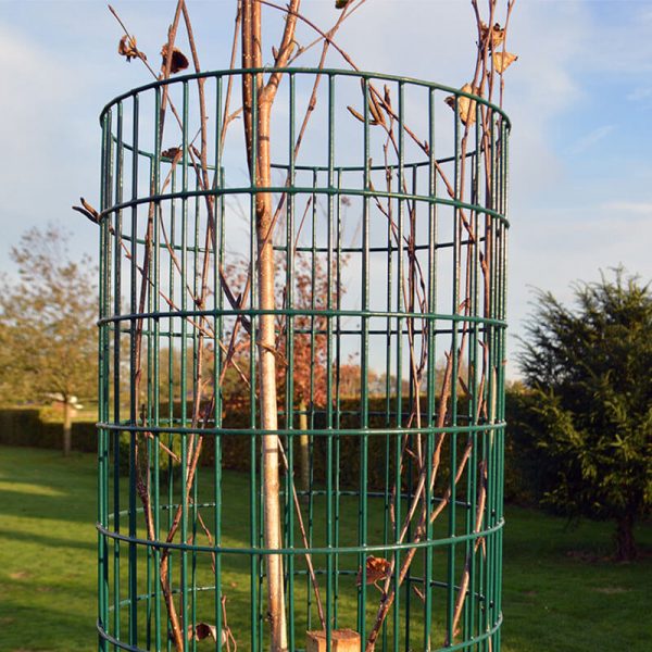 Tree protection fence welded metal tree guard mesh - YongShun Hardware