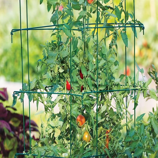 Folding Tomato Tower Plant Support Tower for Climbing Plants - YongShun ...