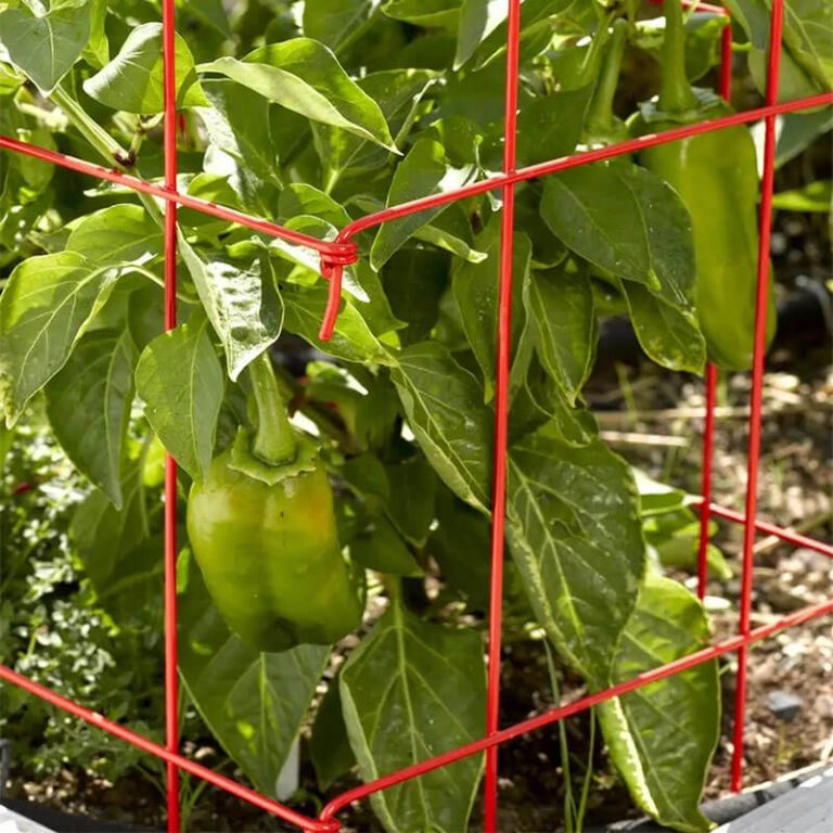 Folding Tomato Tower Plant Support Tower for Climbing Plants - YongShun ...