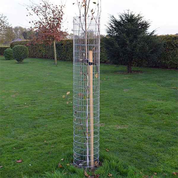 Tree protection fence welded metal tree guard mesh - YongShun Hardware