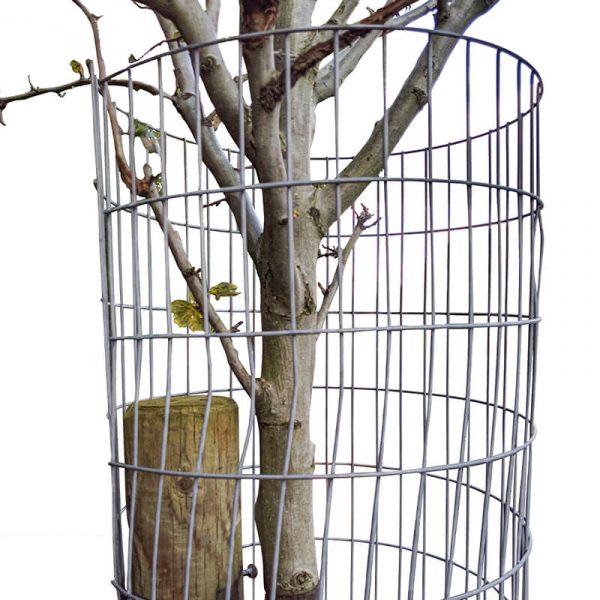 Tree protection fence welded metal tree guard mesh - YongShun Hardware