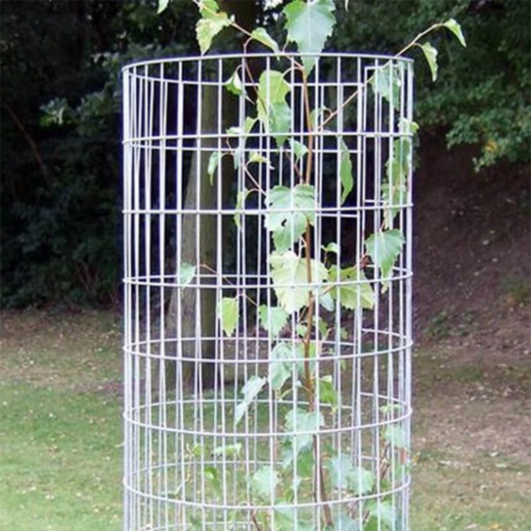 Tree protection fence welded metal tree guard mesh - YongShun Hardware